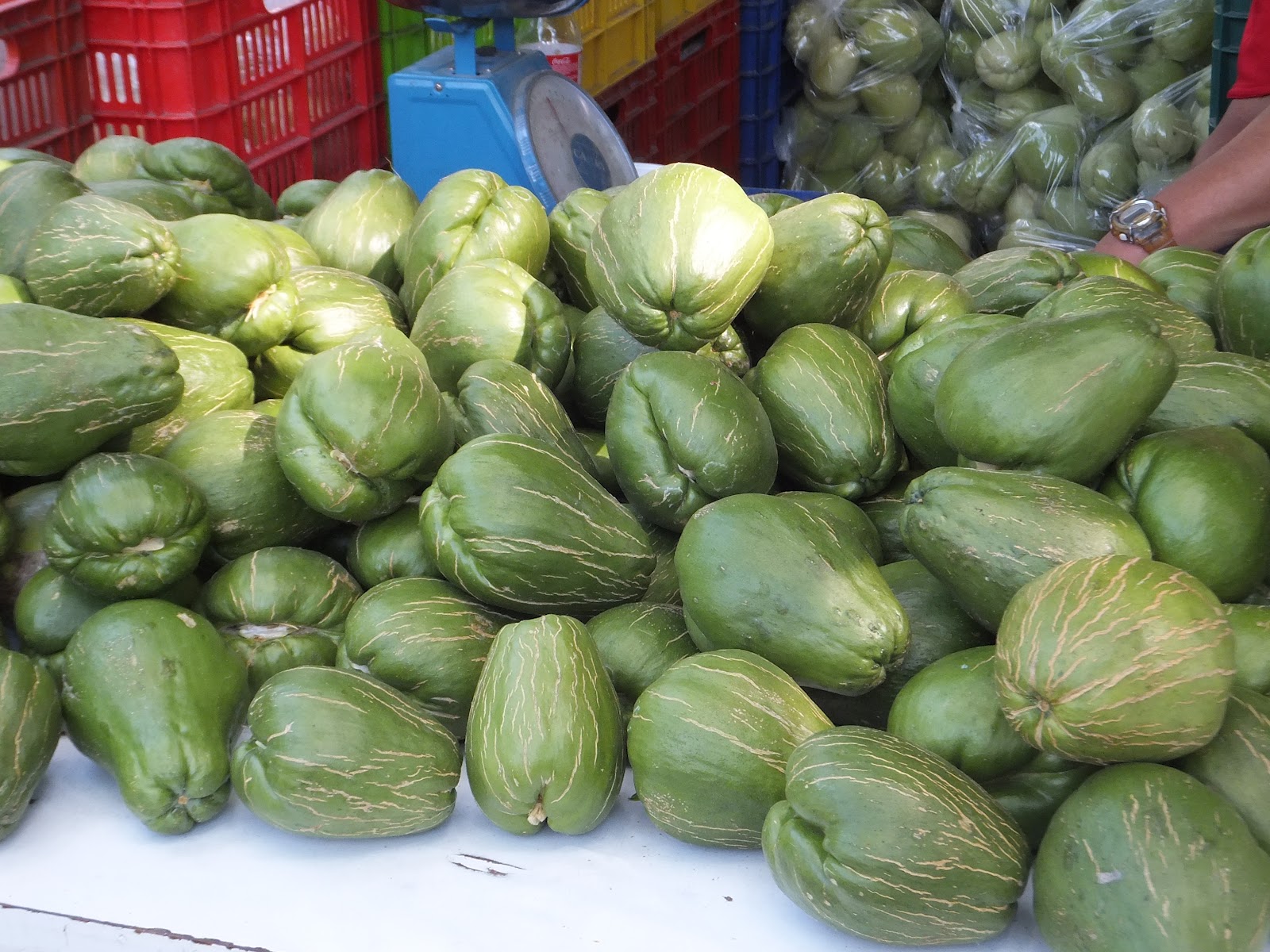 In Search of the Good Life...: Costa Rica Day 3 - Guayabo, Feria de ...