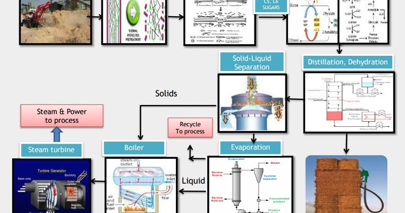 Praj starts up its demo biorefinery based on Enfinity technology