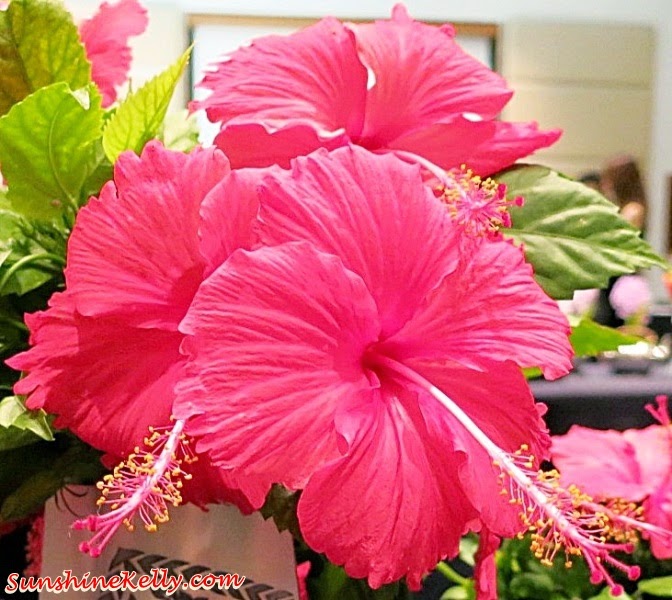 Sunshine Kelly | Beauty . Fashion . Lifestyle . Travel . Fitness ...