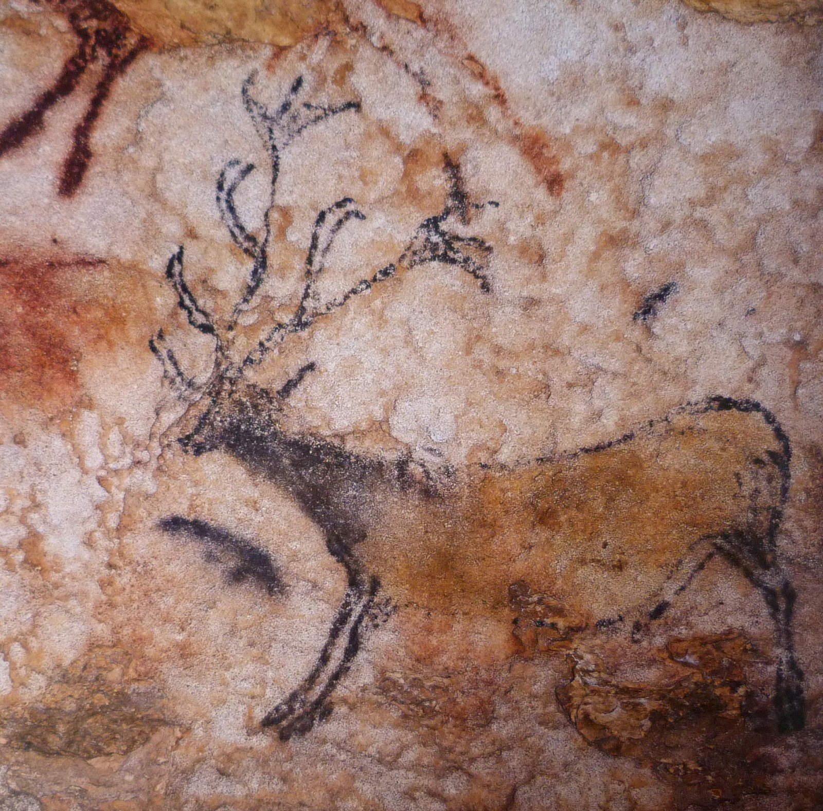 un des petits cerfs de la rotonde | Arte parietal, Arte, Arte prehistorico