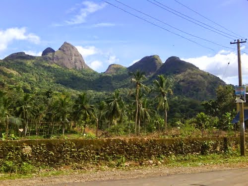 AMBOORI SIMPLY AMAIZING