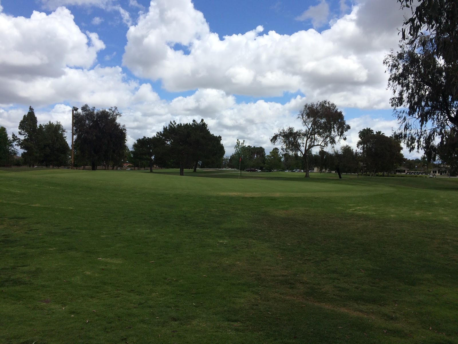 ReGripped: David L Baker Golf Review