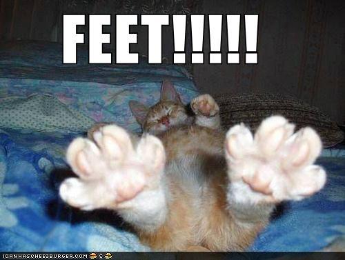 Enough with the Gross Bare Feet Already! : r/Superstonk