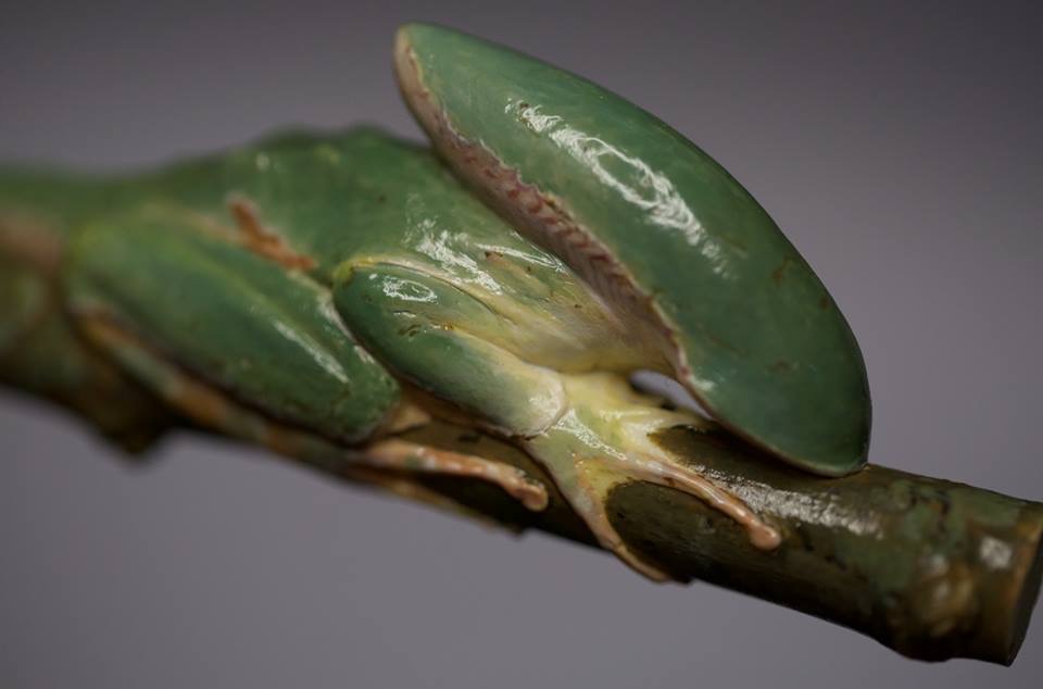 JIMSMASH ! ! !: ALIEN FROG - I WISH THIS WAS REAL