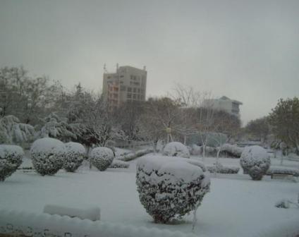Lieux de l'Algérie: Photos de neige en Algérie