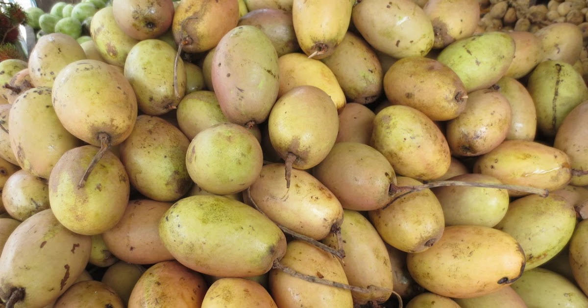 Aneka Manfaat Buah Kemang untuk Kesehatan | Naviri Magazine