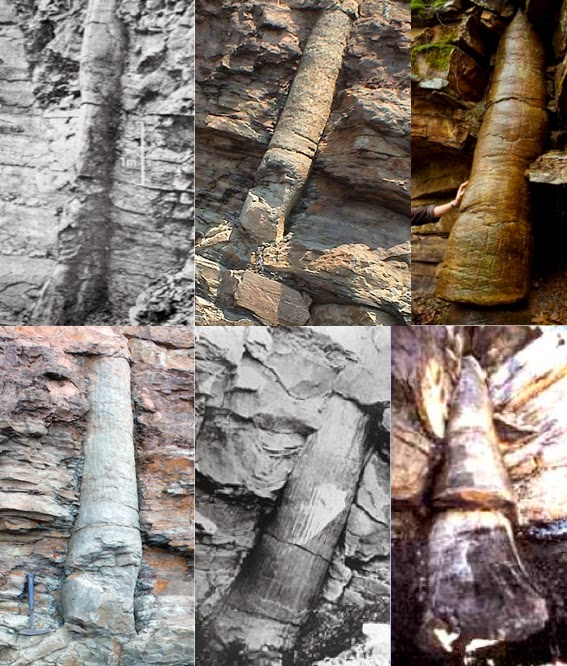 NephiCode: How Far Back Can We Measure Dates? Part III