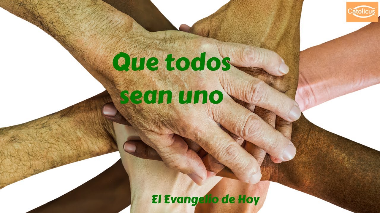 la semilla de cada dia: Verdaderos constructores de unidad y de ...