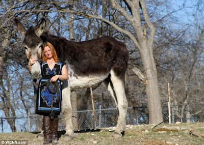 Slavenka & Obi: Meet Romulus the world's biggest donkey!
