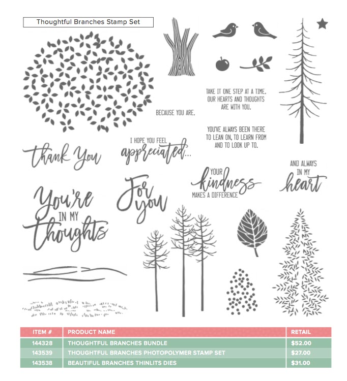 Thoughtful Branches Hydrangea Card Video Tutorial - Pink Buckaroo Designs