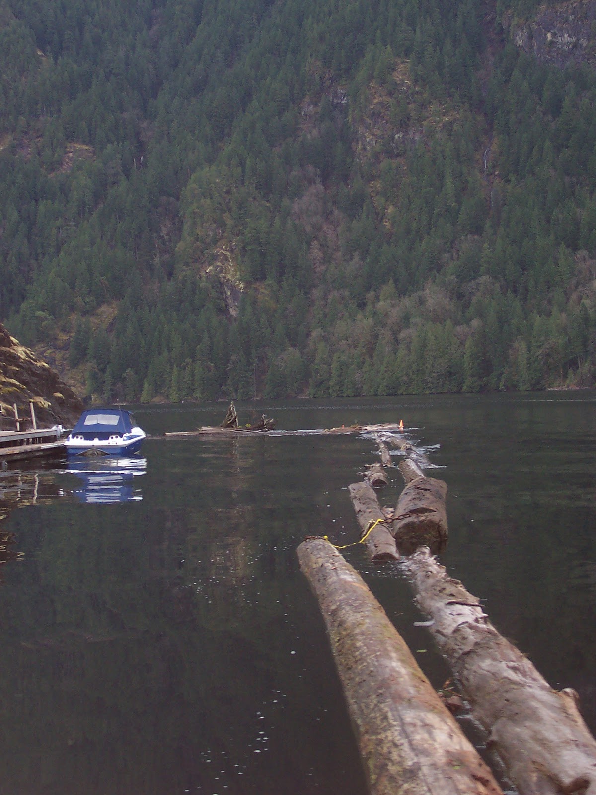 Powell River Books Blog: Enlarging our Log Boom