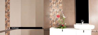 ANSA CERAMICA: MAPISA