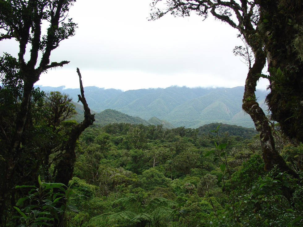 PARQUE NACIONAL AMBORÓ | Viajes y Turismo