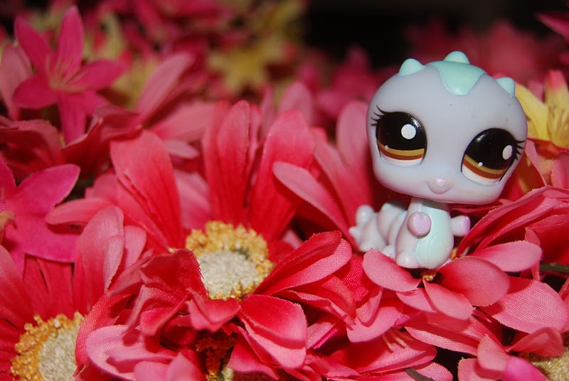 Like A Perfect Song: LPS insects