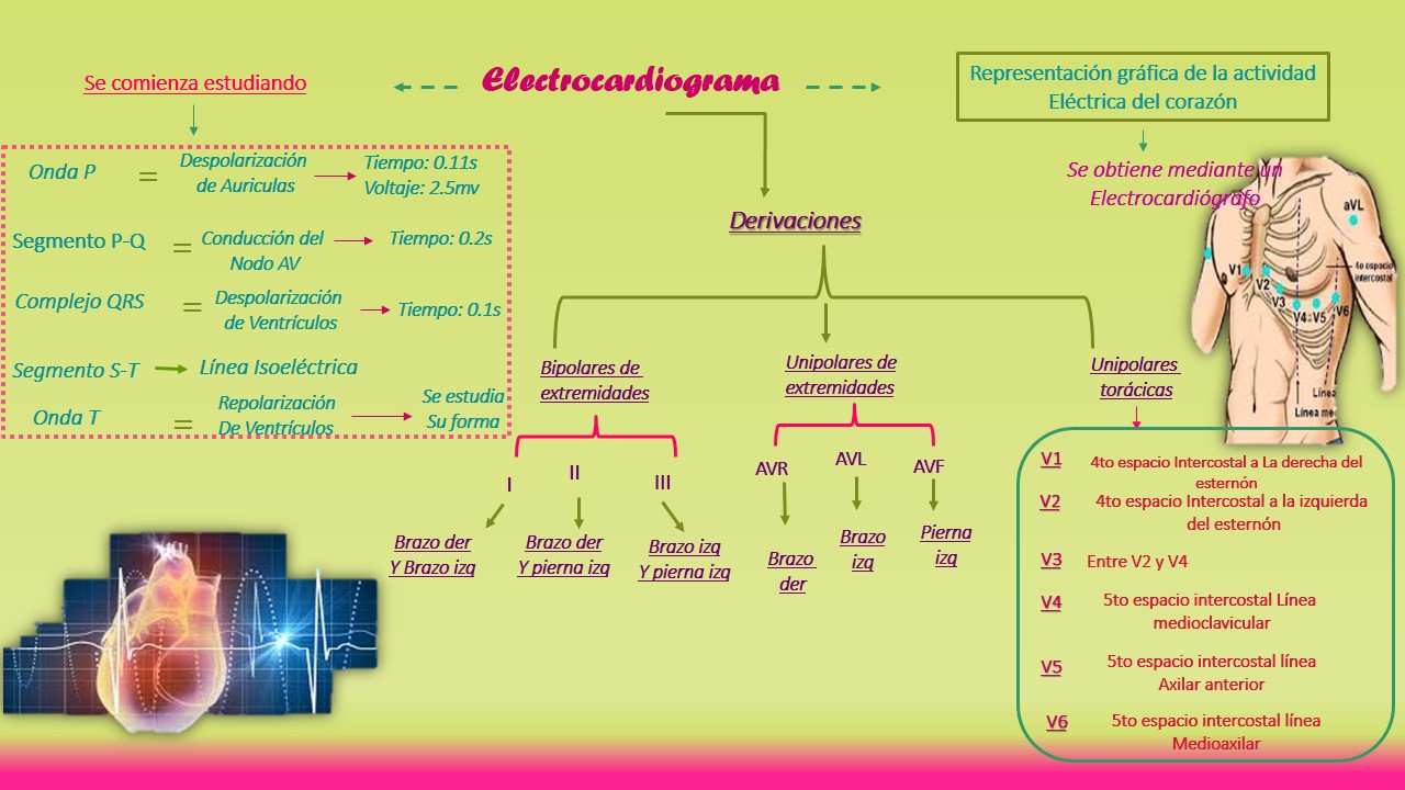 Blog de evaluaciones de fisiologia médica de Teresita de Jesus Leon ...