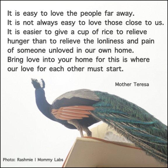 Learning Living Learning Mother Teresa Final Analysis Anyway
