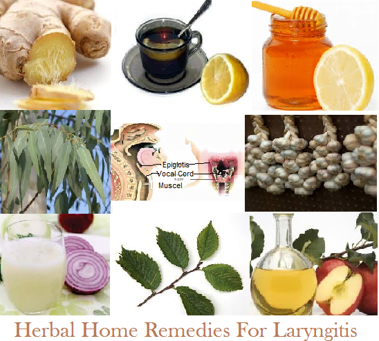 Home Remedies for Laryngitis - Herbs, Health, Happiness