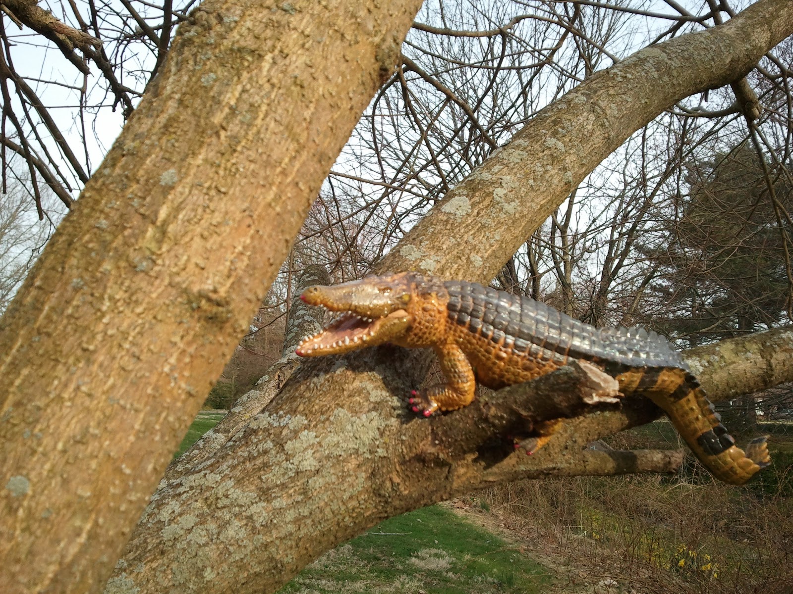 Did you enjoy the Blair Witch Project? | Page 2 | urban75 forums