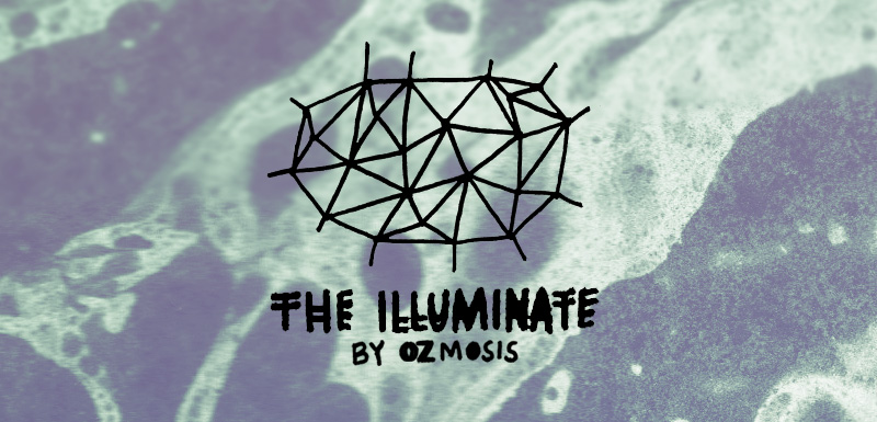 The Illuminate: Artist Profile // Courtney Brims
