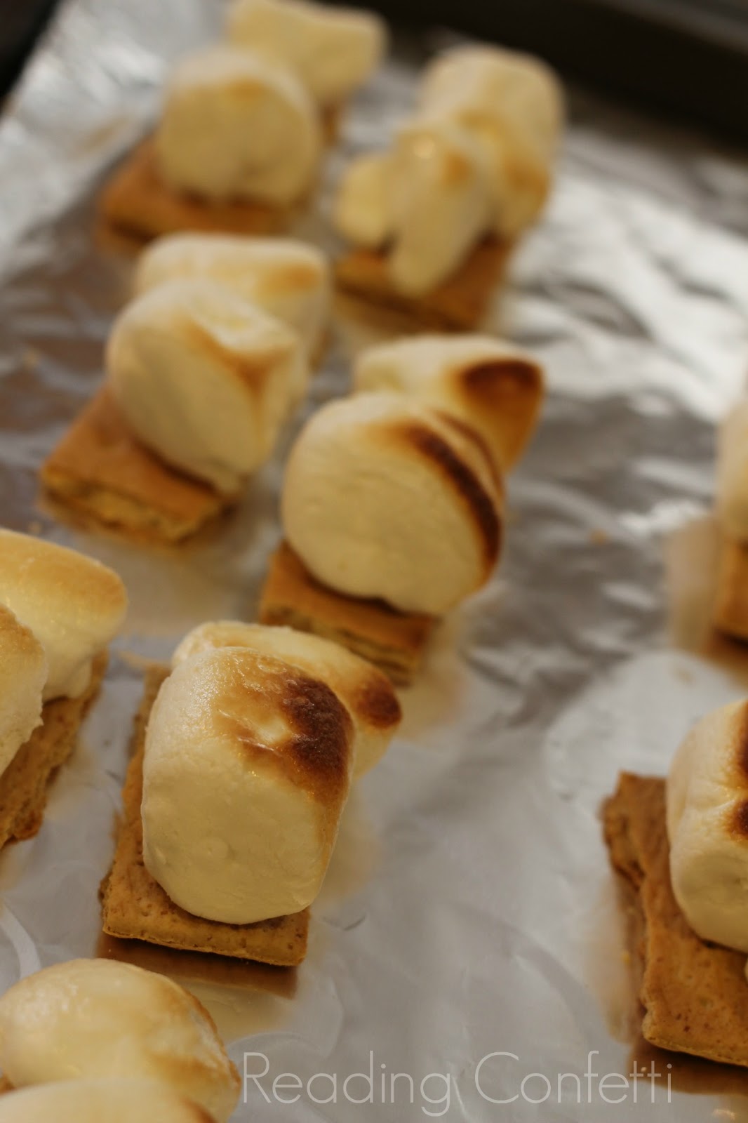 Frozen S'mores and Camping Books for Kids ~ Reading Confetti