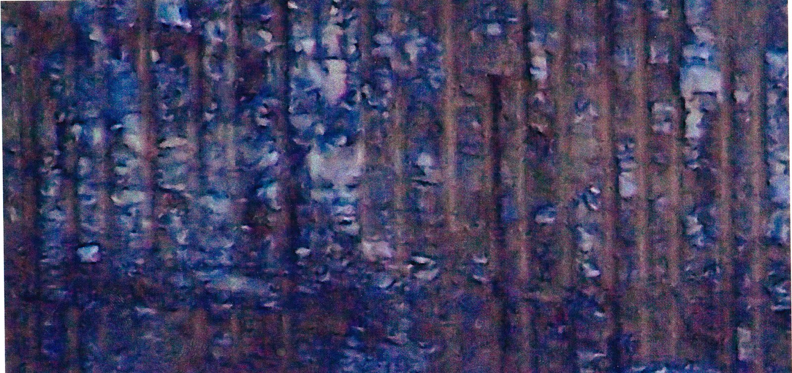 Pareidolia: A New Look At Faces in Nature