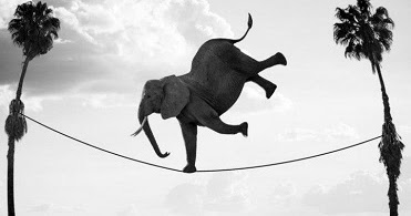 Essenza Consapevole: Alla ricerca dell'equilibrio