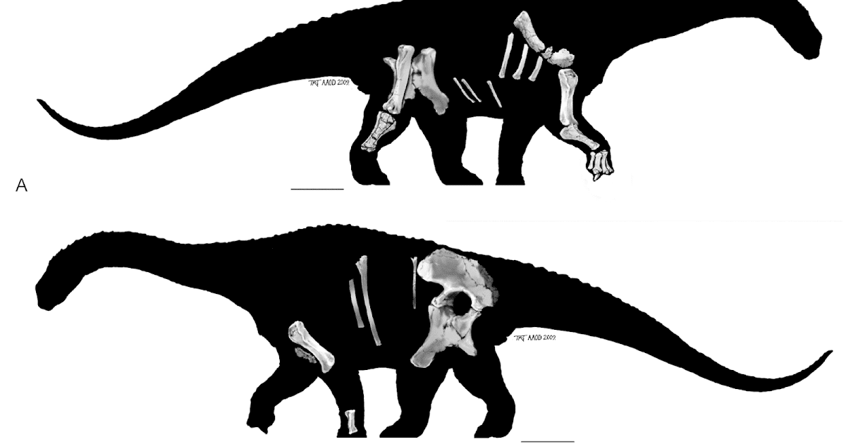 Equatorial Minnesota: Your Friends The Titanosaurs, part 10 ...