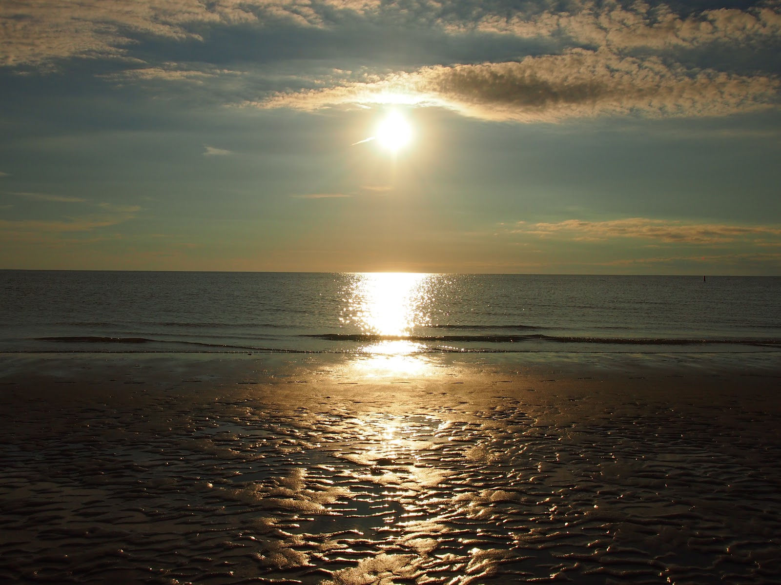 Black Swamp Cornucopia: First Encounter Beach, Cape Cod, Massachusetts