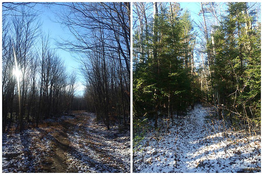 Hiking in the White Mountains: Livermore Pass and the Old Town of ...