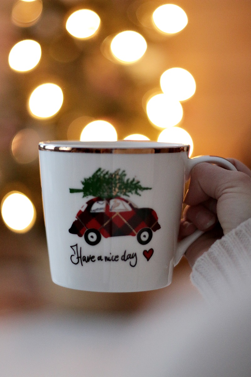 Täyttä elämää: Loppiainen