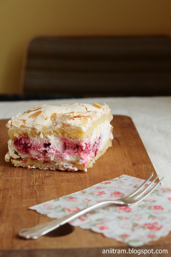 TEGEMISI-TOIMETUSI: Brita kook