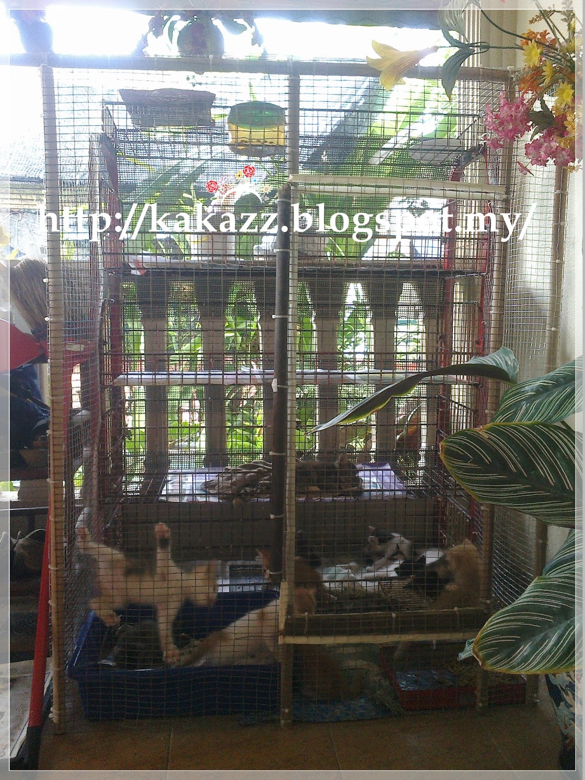 cik azz: DIY: Buat sendiri sangkar kucing.
