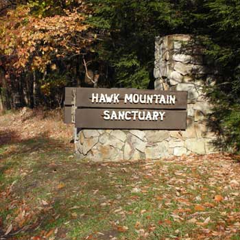 Wanderlust: Hawk Mountain (Kempton, Pennsylvania)