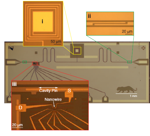 Quantum Bus to enable connections between quantum processors ...