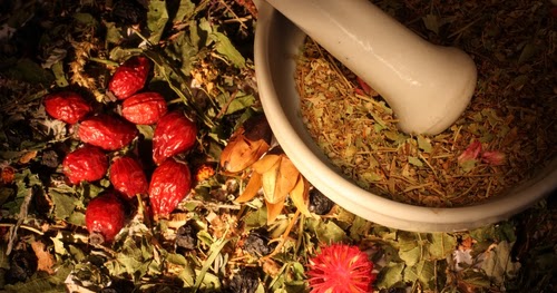 About Health: Native American Medicine