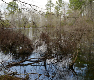 On the Road with Maya: A Hike Along Big Sandy Creek