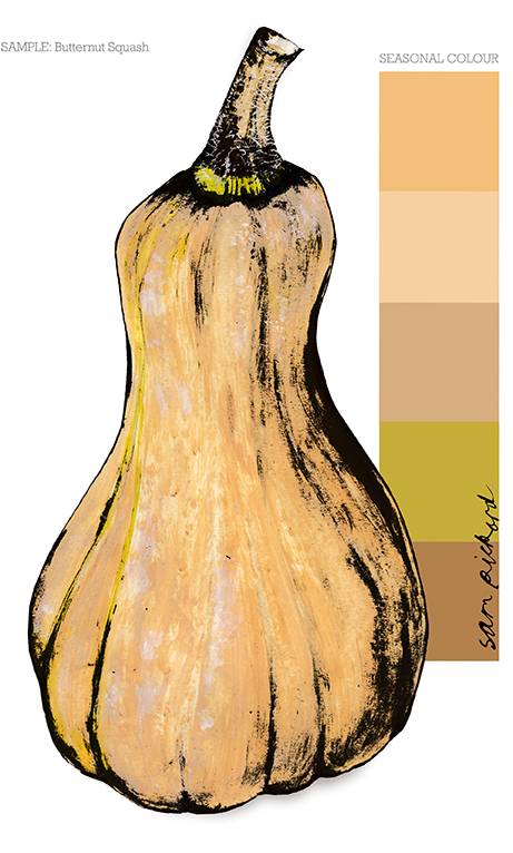 Planet Sam: Colour from the Season - Butternut Squash Yellow