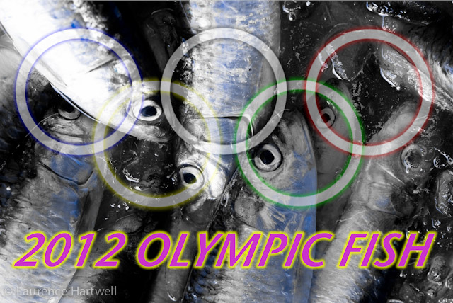 Through the Gaps! - Newlyn Fishing News: Cornish Fish - Feeding the ...