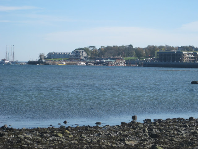 Kayak for Life: Hadley Point, Bar Harbor, Maine