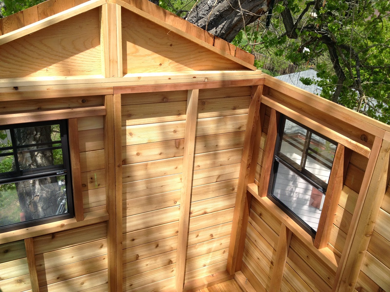 The Treehouser: Part 15: The Treehouse Takes Shape