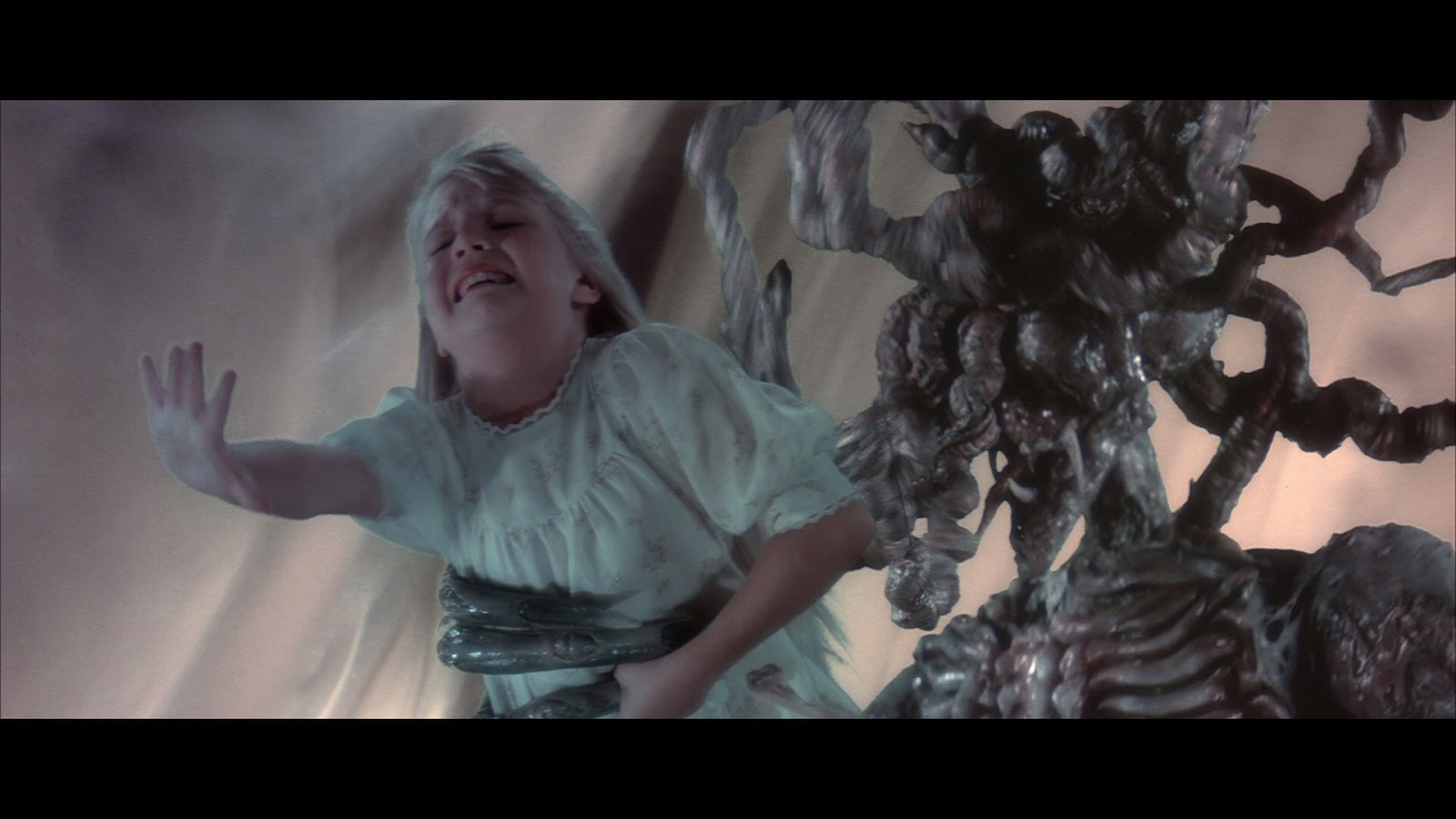 HORROR FOREVER: DUCH 2: DRUGA STRONA / POLTERGEIST 2: THE OTHER SIDE (1986)