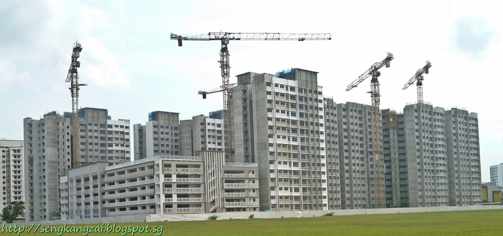Zai@Sengkang: Anchorvale Isles (Year 2013 Week 32)