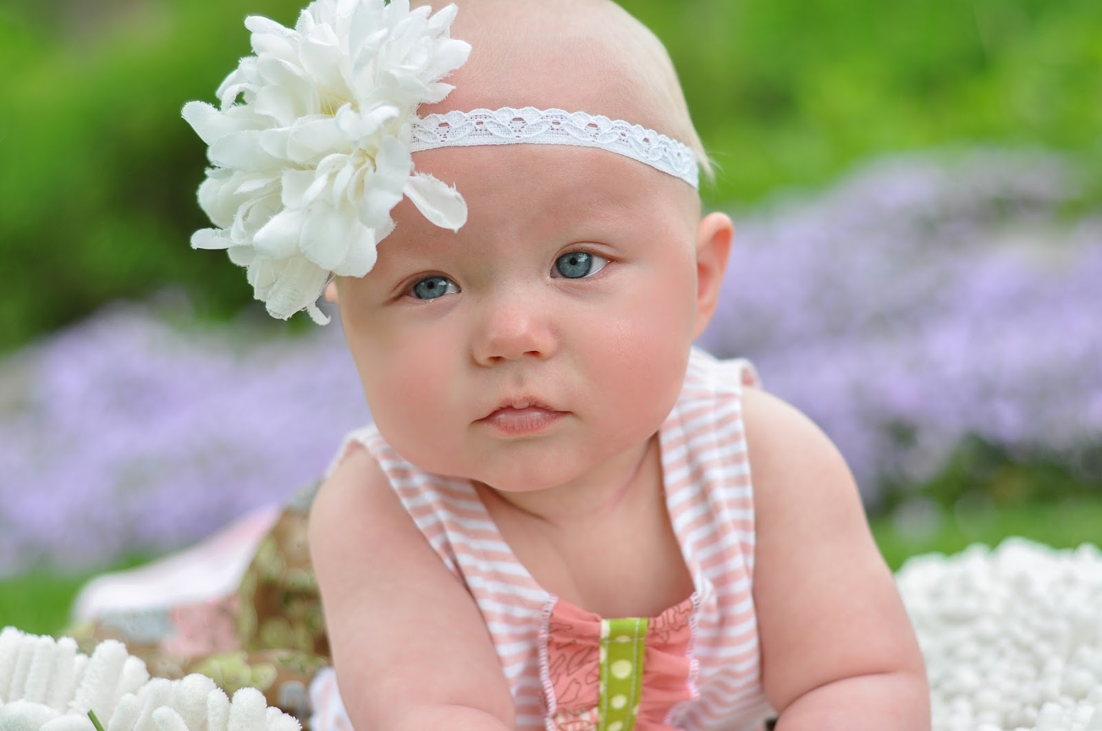 Blooming Meadows Photography: Baby Girl