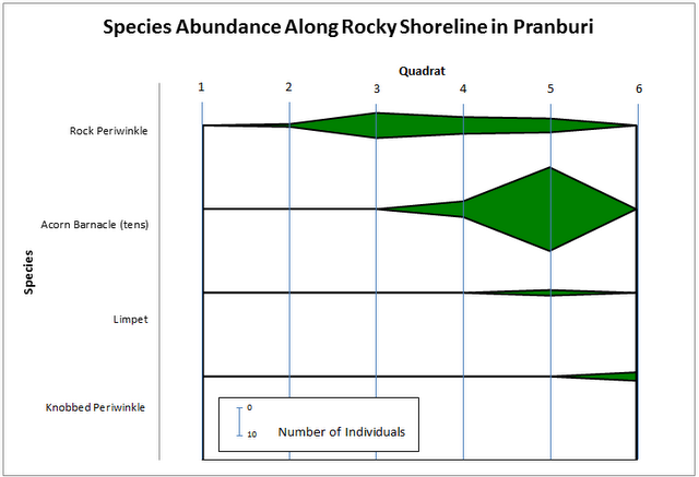 Natty's Mind-Boggling Biology Blog: November 2012