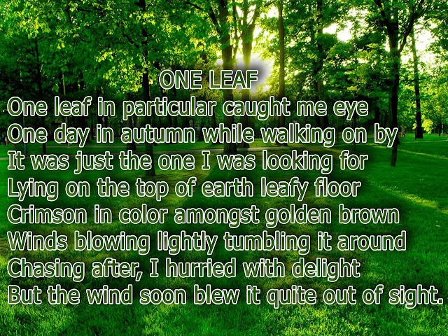 Beautiful Nature Poems One Leaf With Wallpaper - Poetry Likers