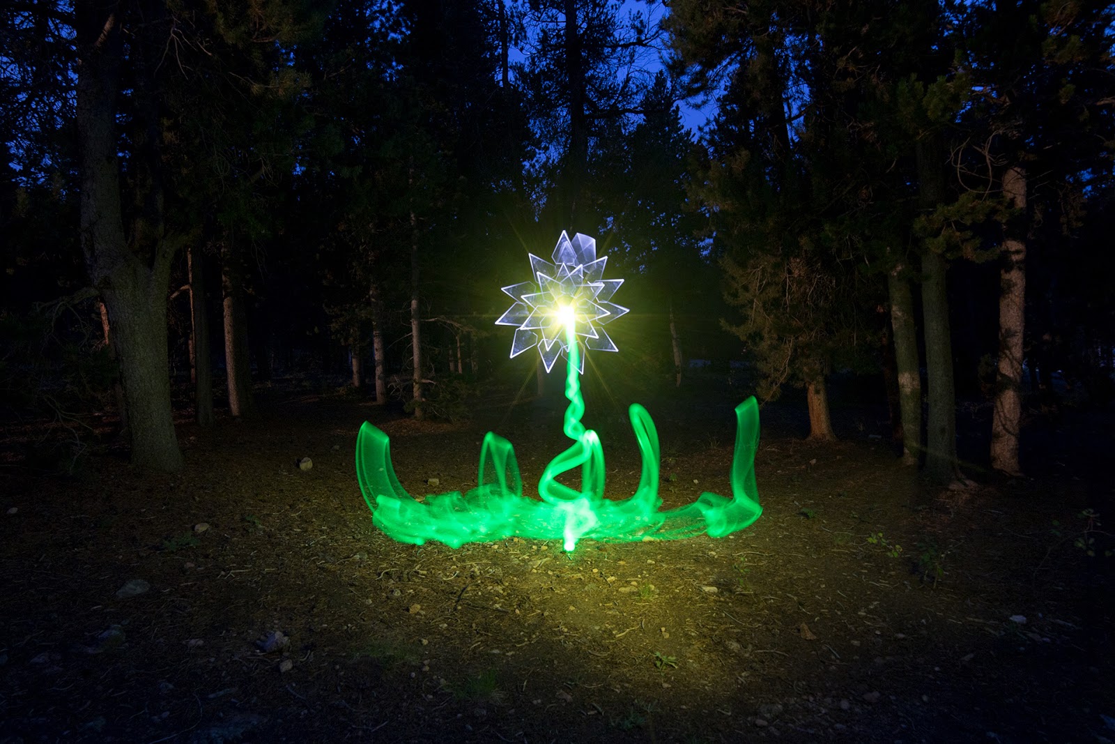 Light Painting Flower Tutorial - Photography Blog Tips - ISO 1200 Magazine