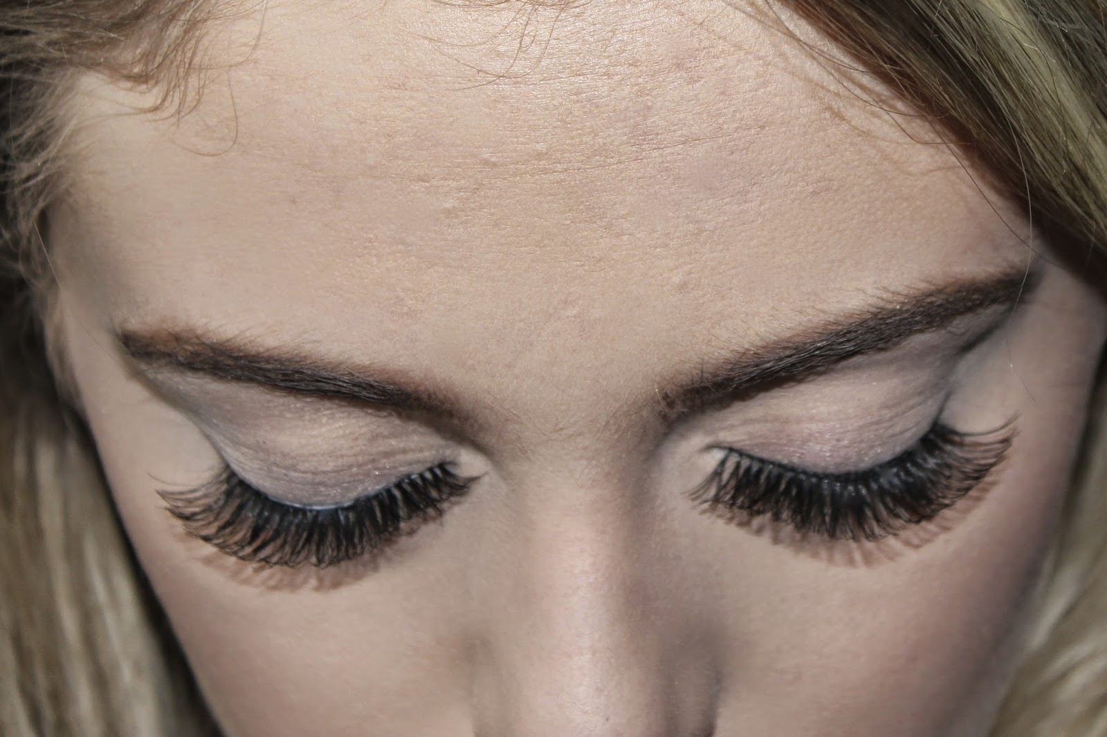 Primark False Lashes | El Willmer