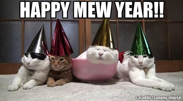 Every Day Is Special: January 2 – Happy Mew Year for Cats