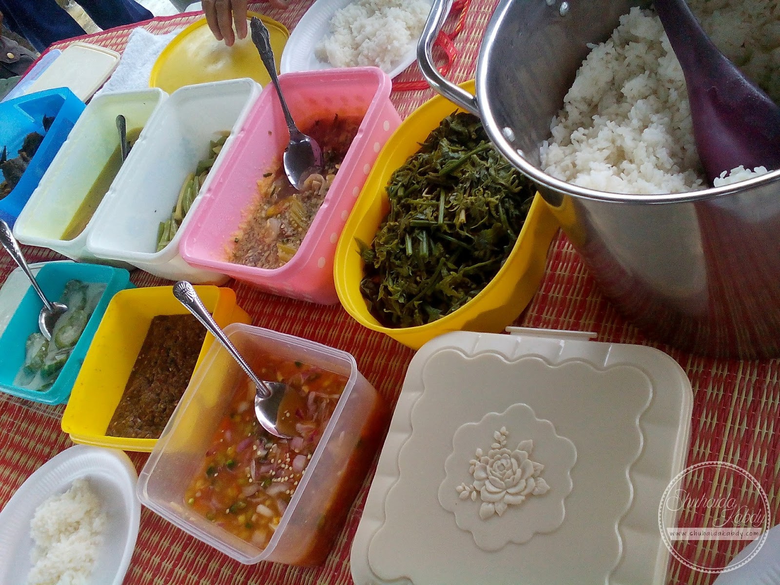 Berkelah di Taman Tasik Taiping