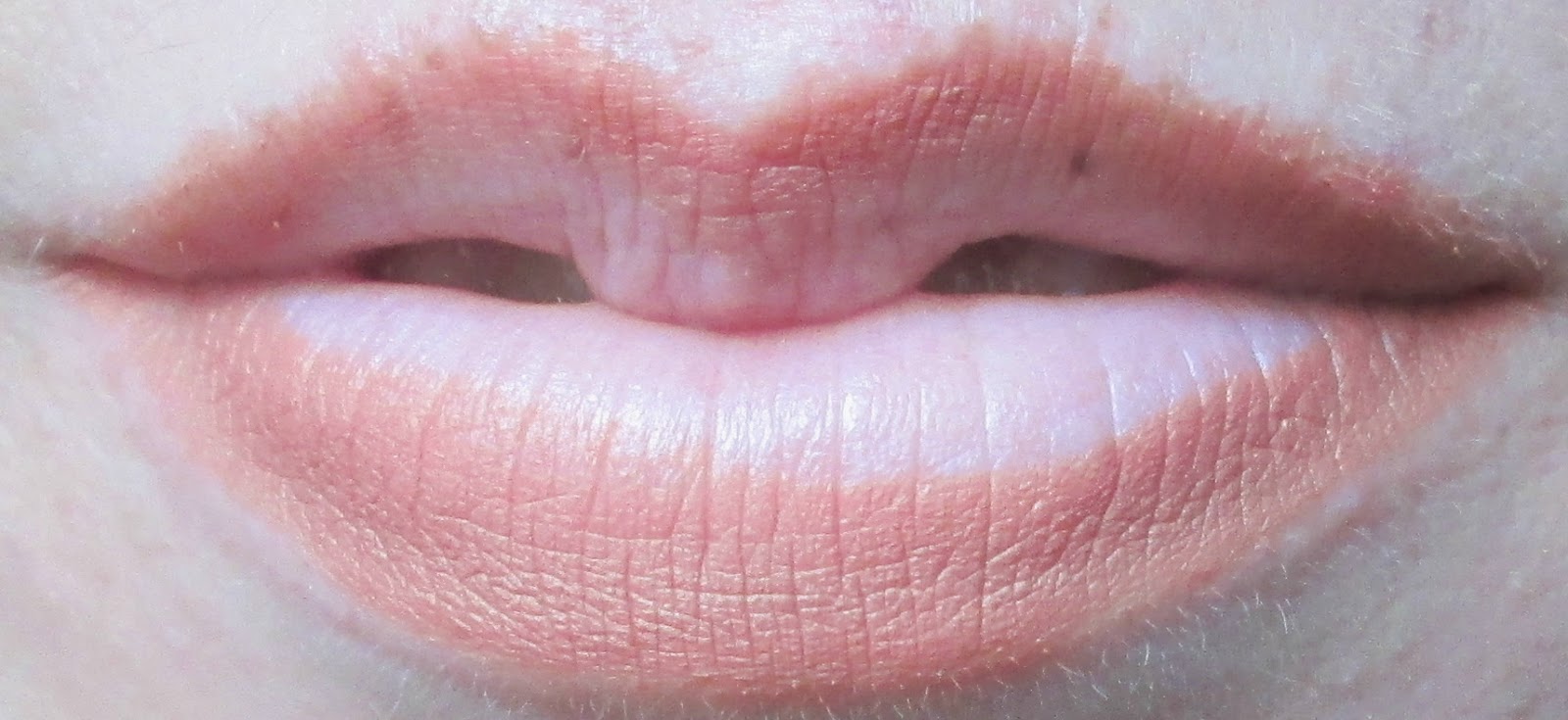 WET N WILD 'Willow' LIP LINER